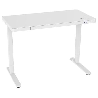 China White Wooden Electric Height Adjustable Desk for Boss Manager Meeting Table in Office for sale