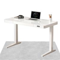 China 2023 Design Office Furniture Electric Adjustable Desk for Study DC Motor Dual Motor for sale