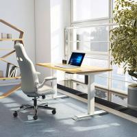 China 710mm Height Outdoor Electric Desk with Lifting Mechanism and Black Wood Style PANEL for sale