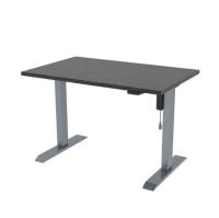 China PANEL Wood Style Electric Height Adjustable Study Desk for Kids in Modern Nordic Design for sale