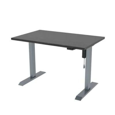 China PANEL Wood Style Electric Height Adjustable Study Desk for Kids in Modern Nordic Design for sale