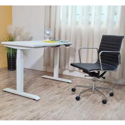 China Dual Motor Metal/Wooden Height Adjustable Desk for Luxe Mid Century Modern Style for sale