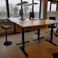 China Dual Motor Metal/Wooden Height Adjustable Desk for Luxe Mid Century Modern Style for sale
