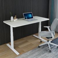 China Mid Century Modern Design Dual Motor Height Adjustable Desk for Luxurious Nordic Home for sale