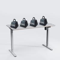 China 2023 Design Dual Motor Table Laptop Desk for Adult Electric Sit Standing Study Table for sale