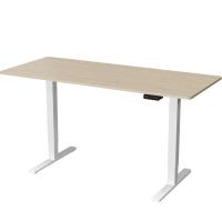 China Office Furniture Custom Mechanical Sit Standing Desk with Dual Motor Electric Lifting for sale