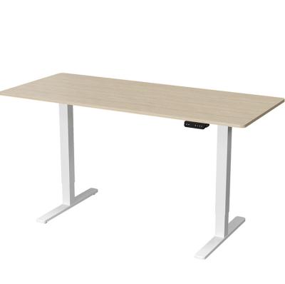 China Office Furniture Custom Mechanical Sit Standing Desk with Dual Motor Electric Lifting for sale