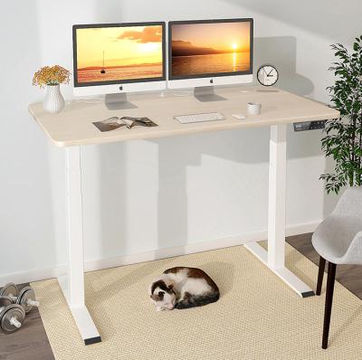 China Adjustable Height Double Motor Desk for Middle Minimalistic Coffee Table and Learning for sale