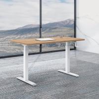 China Custom Student Dual Motor Writing Desk for Height Adjustable Wood Desk in Zhejiang for sale