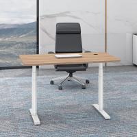 China Custom Student Dual Motor Writing Desk for Height Adjustable Wood Desk in Zhejiang for sale
