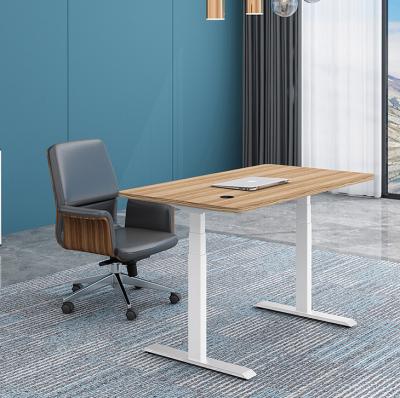 China Write Table Modern Office Desk with Custom Wooden Grain and Electric Height Adjustment for sale