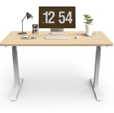 China SPCC Steel/Iron Material Electric Sit Standing Study Table for Adult Dual Motor Table for sale