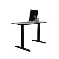 China 2023 Dual Motor Electric Sit Standing Study Table Modern Luxury CEO Office Desk for Adult for sale