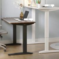 China SPCC Steel/Iron Frame Material Dual Motor Wooden Stand Up Desk for Gaming and Office for sale