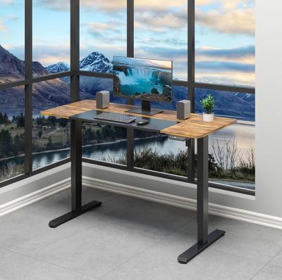 China 2023 Dual Motor Electric Sit Standing Study Table for Adult in Luxury CEO Office Design for sale