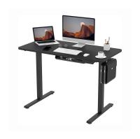 China Laptop Desk Dual Motor Table Electric Sit Standing Study Table for Adult 100 V/Hz 2 Stage for sale