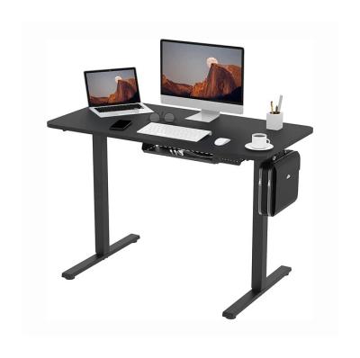 China Laptop Desk Dual Motor Table Electric Sit Standing Study Table for Adult 100 V/Hz 2 Stage for sale