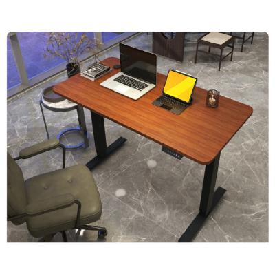 China 900mm Electric Stand Up Gaming Desk with Ergonomic Design and Adjustable Height 25mm/s for sale