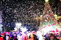 China Separated Snow Jet Machine DMX512 RF Remote Control Biodegradable Snowflakes HEPA Filtered Haze 1500W for sale