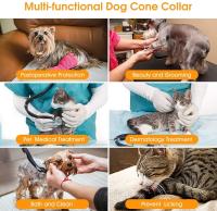 China Muti Size Pet Elizabethan Collar Circle Plastic Dog Cone Collar Protective Collar for sale