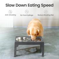 China Adjustable Lifting Slow Pet Food Bowl Outdoor Elevated Dog Bowls With Stand for sale