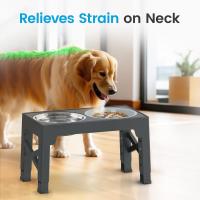 China Adjustable Lifting Slow Pet Food Bowl Outdoor Elevated Dog Bowls With Stand for sale