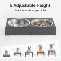 China Adjustable Lifting Slow Pet Food Bowl Outdoor Elevated Dog Bowls With Stand for sale