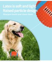 China Interactive Dog Chewing Toy Eco Friendly Latex Pet Squeak Bite Toys for sale