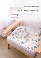 China Summer Pet Cooling Mat Latex Pad Cat Dog Sleeping Kennel Ice Silk Cooling Pad for sale