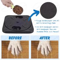 China 3 In 1 Pet Training Products Dog Nail File Scratch Board Slow Feeding Puzzle Toy for sale
