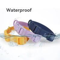 China Custom Logo Color PVC Pet Collar Waterproof Silicone Dog Collar And Leash Set for sale
