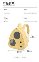 China Luxury Pet Carrier Bag Travel Airline Approved Dog Cat Travel Backpack With Window for sale