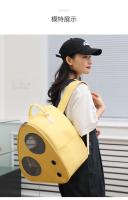 China Luxury Pet Carrier Bag Travel Airline Approved Dog Cat Travel Backpack With Window for sale