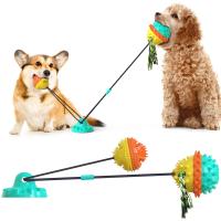 China Molar Teeth Resistant Suction Cup Dog Tug Toy TPR Dog Training Squeaky Dog Chew Toy Ball for sale