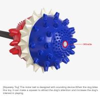 China Molar Teeth Resistant Suction Cup Dog Tug Toy TPR Dog Training Squeaky Dog Chew Toy Ball for sale