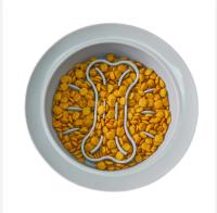 China Silicone Feeding Pet Bowls 2 In 1 Lickimat Slow Feeder Bowls With Suction Cup for sale