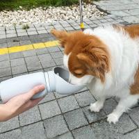 China 550ml Folding Outdoor Pet Feeding Bottle Portable Puppy Cat Drinking Water Bottle for sale