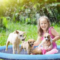 China Outdoor Foldable Kids Swimming Pool Large Puppy Washing Pet Water Toy PVC Sprinkler Mat for sale