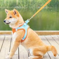 China Breathable Mesh Vest Pet Leash Reflective Chest Harness dog cat collar Walking Pet Leash With Reflective Strips for sale