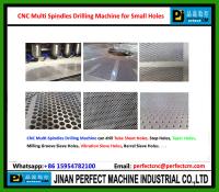 China CNC Multi Spindles Drilling Machine for Step Holes, Taper Holes, Milling Groove Sieve holes, Vibration Sieve for sale