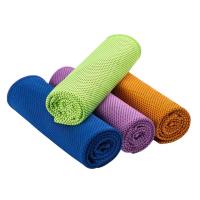China Customized Logo Print Super Dry Sports Microfiber Towel Arctic Cool Towel With Bottle Woven Technique For Adults In Camp for sale