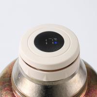 China Pure Titanium Insulated Travel Teapot with Mechanical Temperature Control for sale