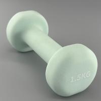 China Anti Slip Handheld Dumbbells for Home workout for sale