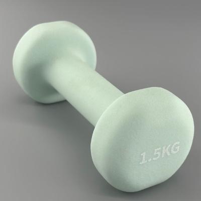 China Anti Slip Handheld Dumbbells for Home workout for sale