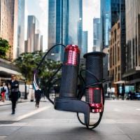 China Dolphin Electric Scooter Throttle 24V 36V 300W E Scooter Throttle for sale