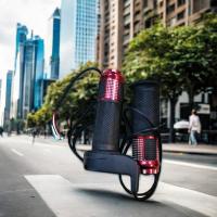 China Dolphin Electric Scooter Throttle 24V 36V 300W E Scooter Throttle for sale