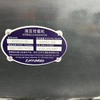 China Used Digger HYUNDAI  305LC-9T Hydraulic  Crawlerl Used Excavators for sale