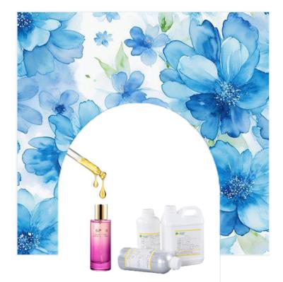 China Oud Perfume Fragrance Oils For Branded Perfume With Free Sample for sale