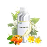 China Long Lasting Branded Perfume Fragrance Oil Woody Scent Original Oil Perfume for sale