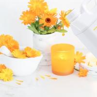 China Best Quality And Top Sale Essential Oils For Candle Making Delivery On Time for sale